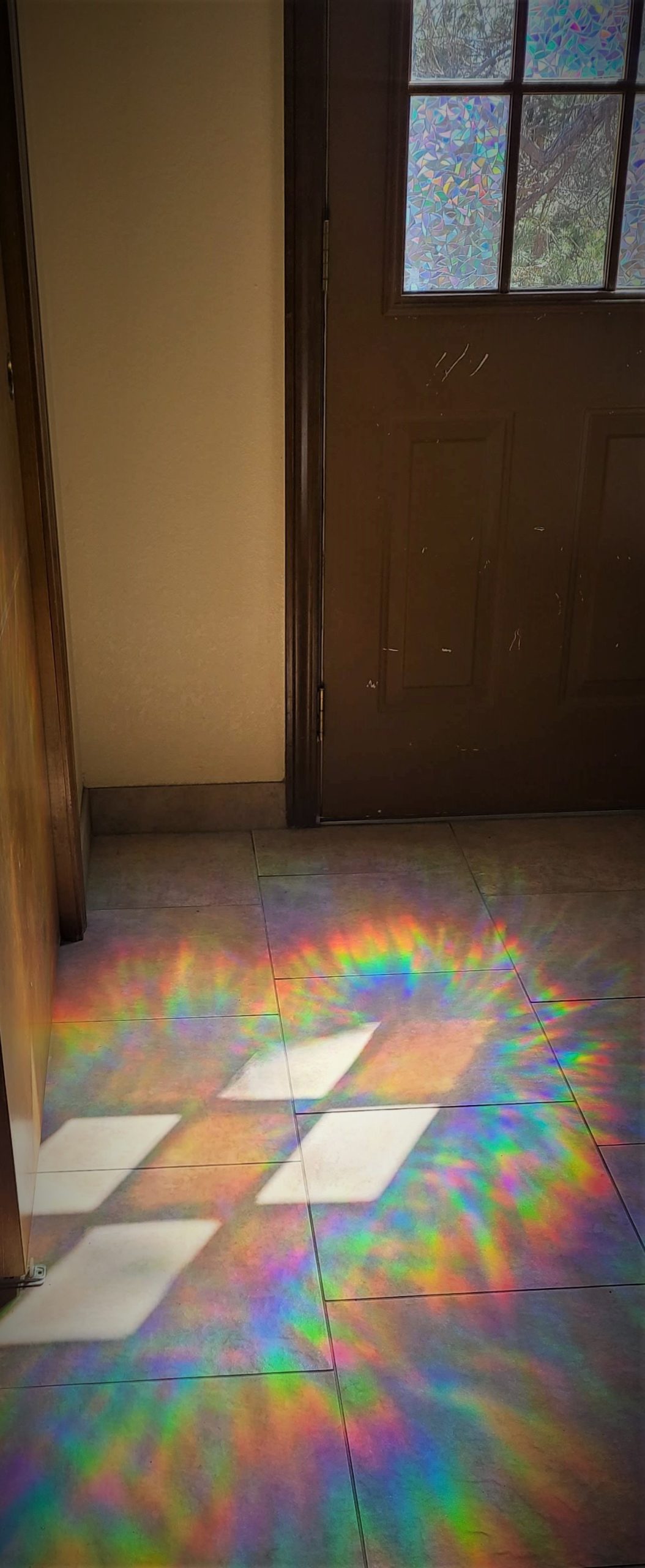 DIY Privacy Windows for Less than $10 - The Hairy Potato